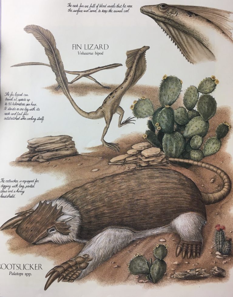Scientific illustration & Observation – Mr.Deyo