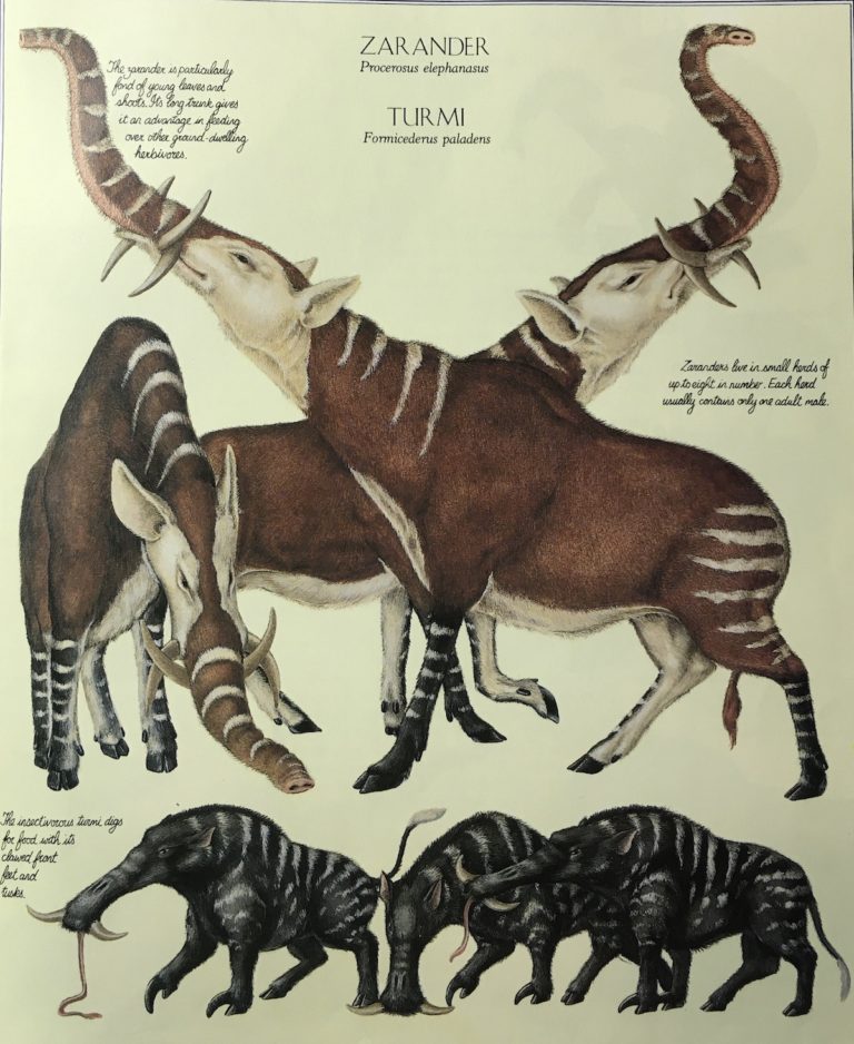 Scientific illustration & Observation – Mr.Deyo